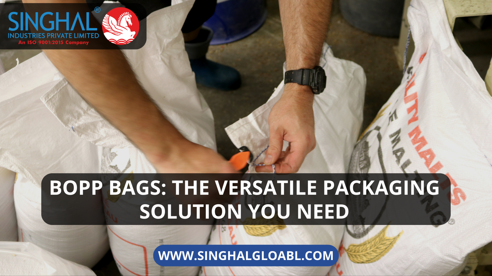 BOPP Bags: The Versatile Packaging Solution You Need