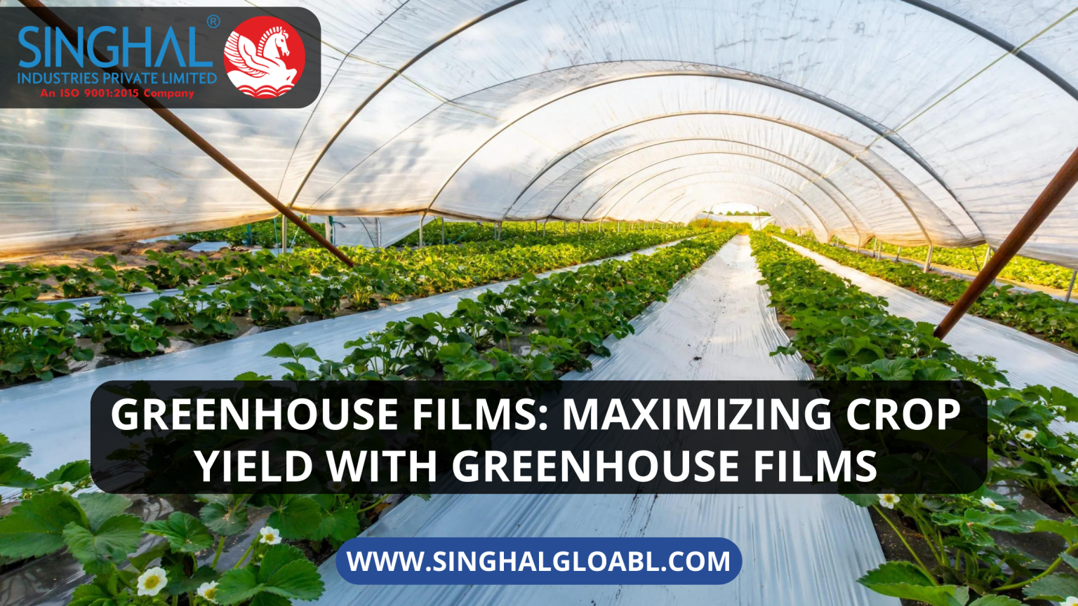 Greenhouse Films: Maximizing Crop Yield with Greenhouse Films